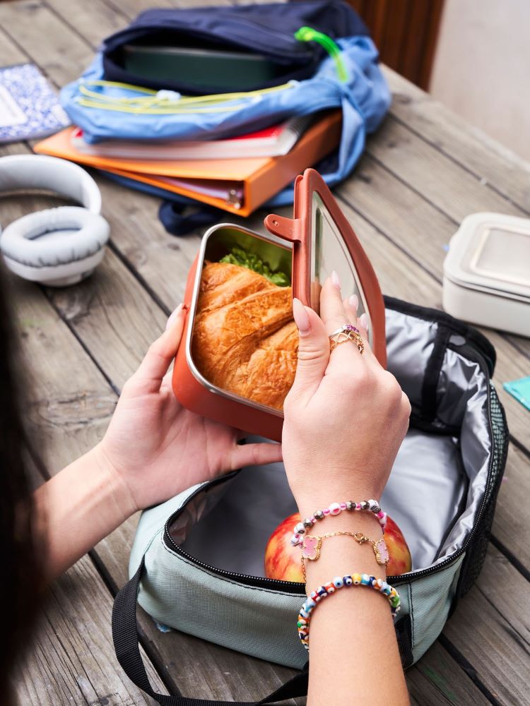 Klean Kanteen Stainless Steel Leakproof Lunch Box 23oz/680ml Sea Spray ...